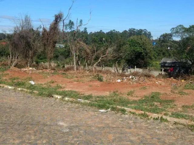 Terreno / Lote para Venda em Gravataí/RS Parque Olinda