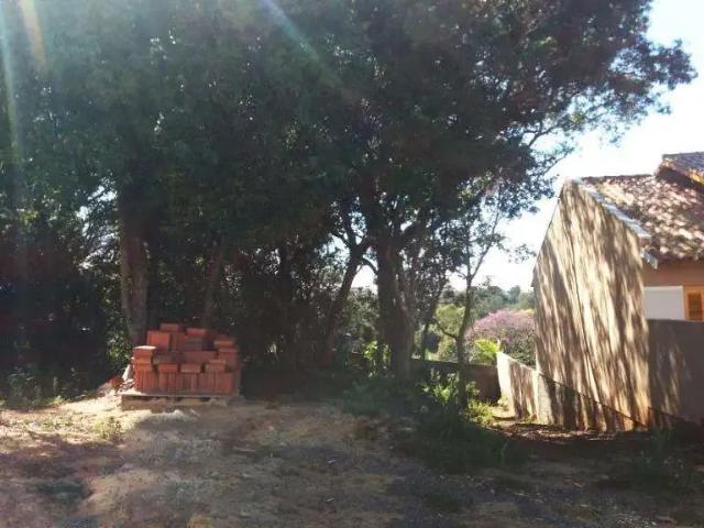 Terreno / Lote para Venda em Gravataí/RS Parque Olinda