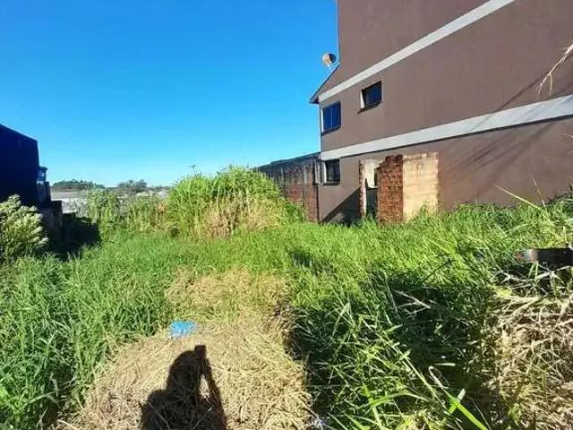 Terreno / Lote para Venda em Gravataí/RS Rosa Maria