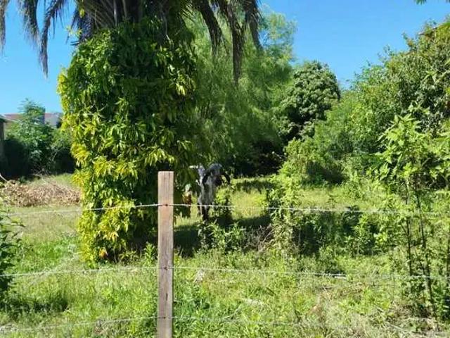 Terreno / Lote para Venda em Gravataí/RS São Judas Tadeu