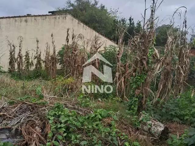 Terreno / Lote para Venda em Gravataí/RS Salgado Filho