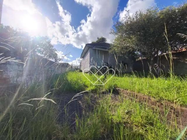 Terreno / Lote para Venda em Gravataí/RS Salgado Filho