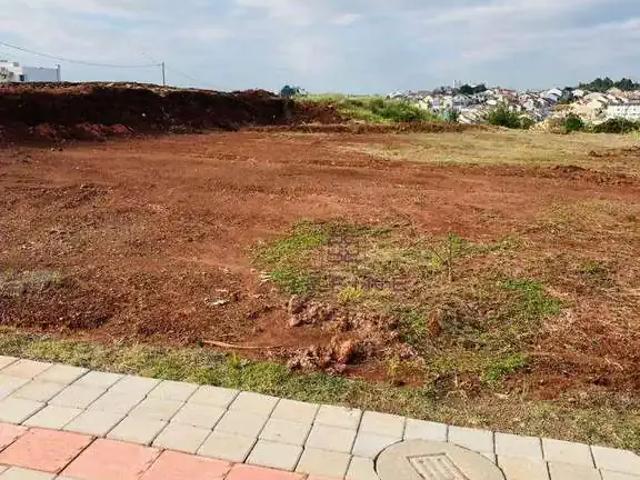 Terreno / Lote para Venda em Gravataí/RS Santa Cruz
