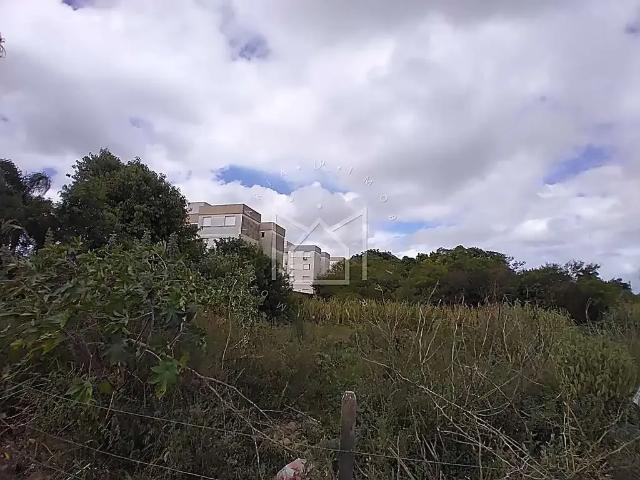 Terreno / Lote para Venda em Gravataí/RS Santa Fé