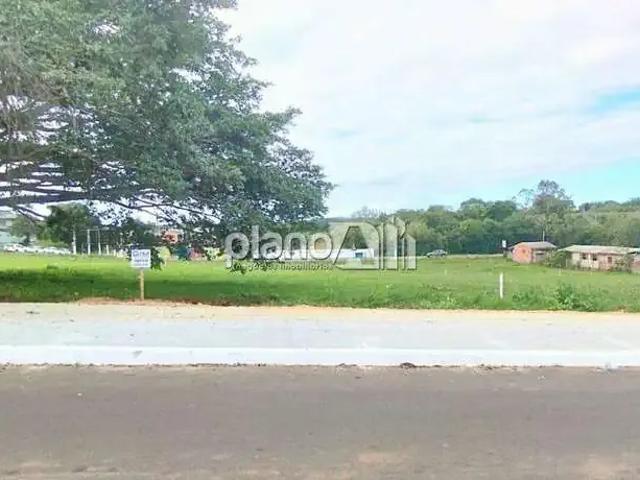 Terreno / Lote para Venda em Gravataí/RS Santo Antônio