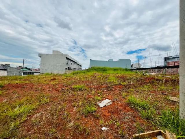 Terreno / Lote para Venda em Gravataí/RS Terranova