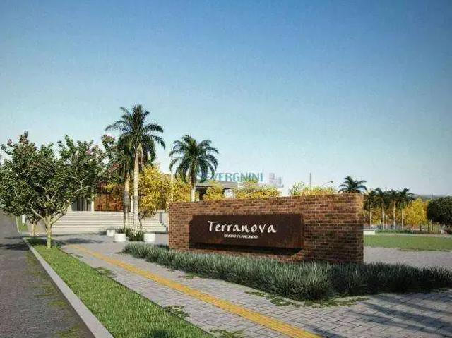 Terreno / Lote para Venda em Gravataí/RS Terranova