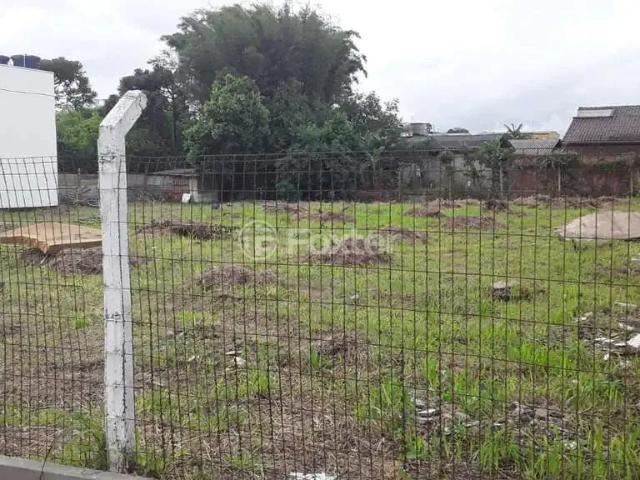 Terreno / Lote para Venda em Gravataí/RS Vera Cruz