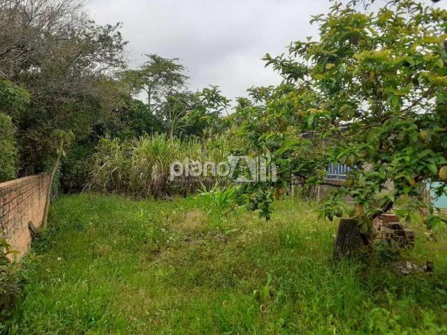 Terreno / Lote para Venda em Gravataí/RS Vera Cruz