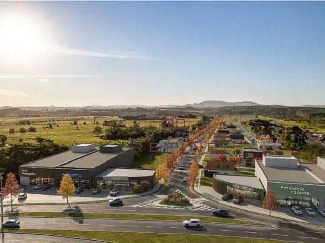Terreno / Lote para Venda em Gravataí/RS Vila Cledi
