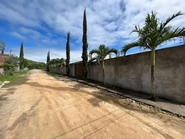 Terreno / Lote para Venda em Gravatá/PE Cruzeiro