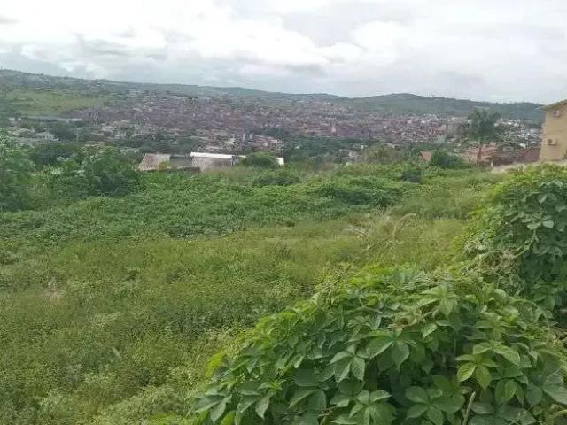 Terreno / Lote para Venda em Gravatá/PE Cruzeiro