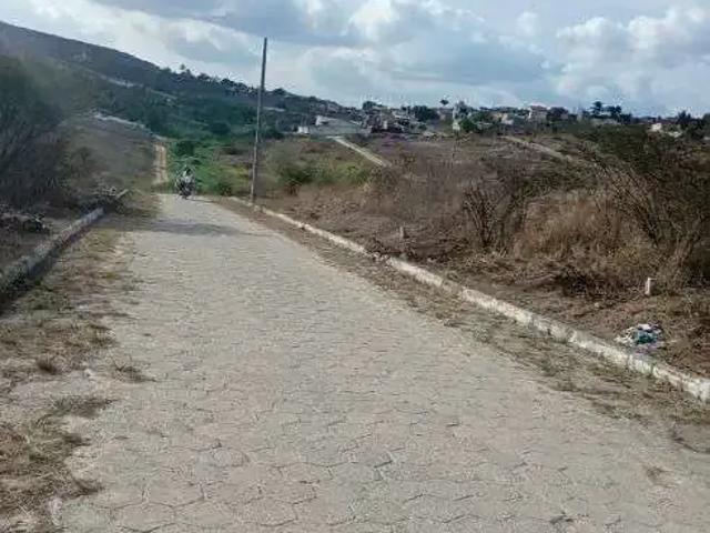 Terreno / Lote para Venda em Gravatá/PE Cruzeiro