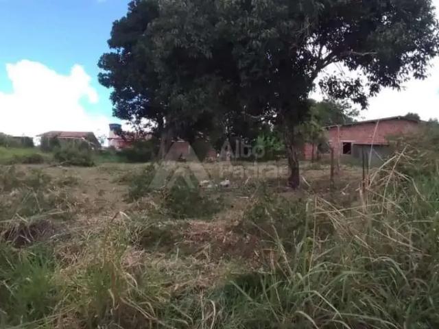 Terreno / Lote para Venda em Gravatá/PE Alpes Suiços