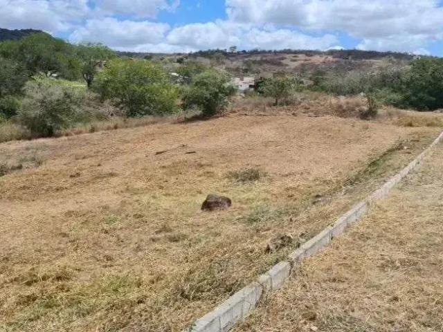 Terreno / Lote para Venda em Gravatá/PE Bairro Novo