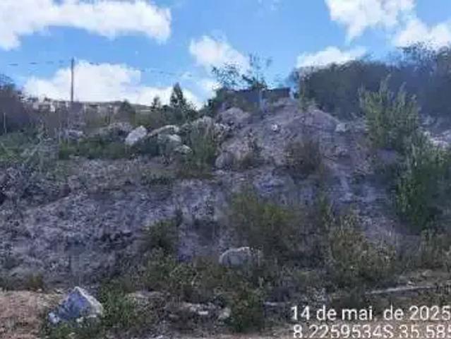 Terreno / Lote para Venda em Gravatá/PE Bairro Novo
