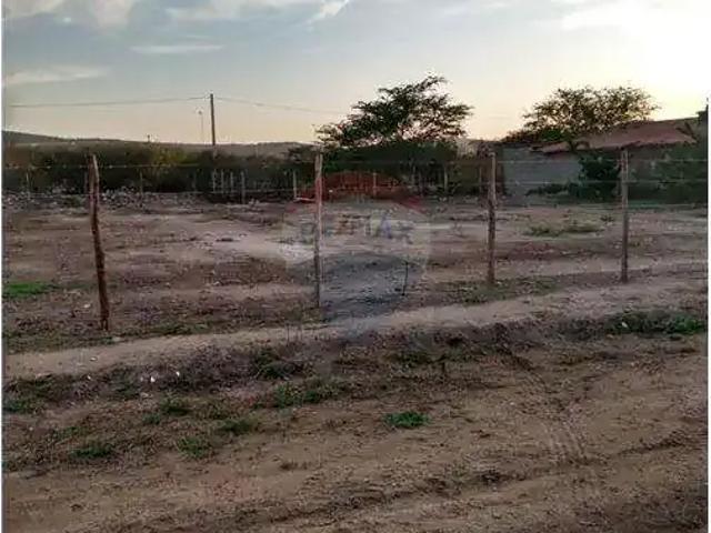 Terreno / Lote para Venda em Gravatá/PE Novo Gravatá