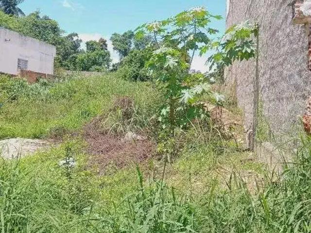 Terreno / Lote para Venda em Gravatá/PE Santa Luzia