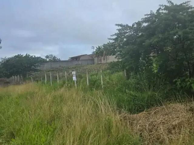 Terreno / Lote para Venda em Gravatá/PE Porta Florada