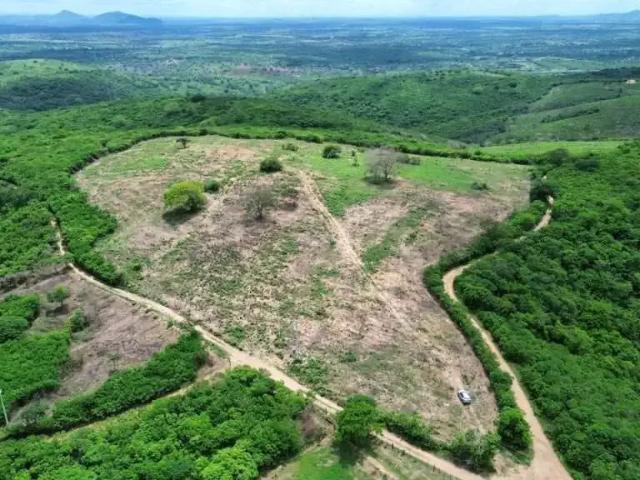 Terreno / Lote para Venda em Gravatá/PE Zona Rural