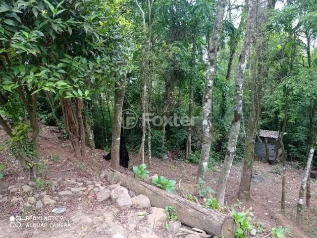 Terreno / Lote para Venda em Gramado/RS Carazal