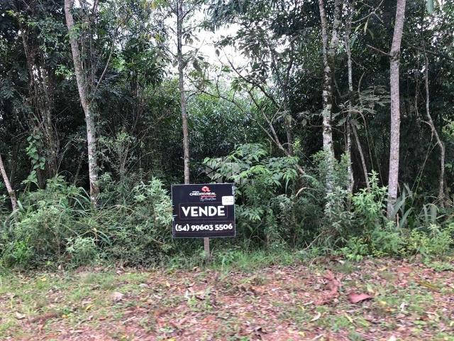 Terreno / Lote para Venda em Gramado/RS Carazal