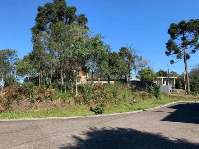 Terreno / Lote para Venda em Gramado/RS Carniel