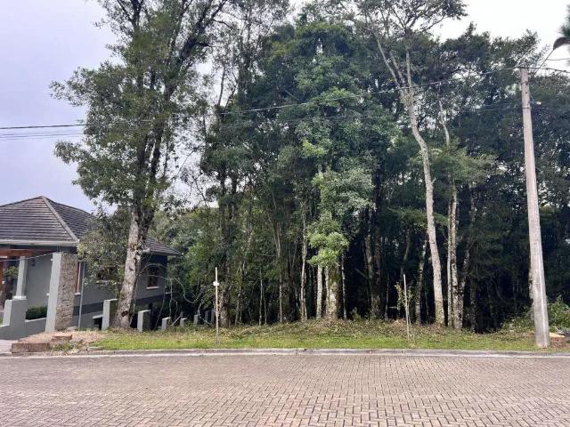 Terreno / Lote para Venda em Gramado/RS Carniel
