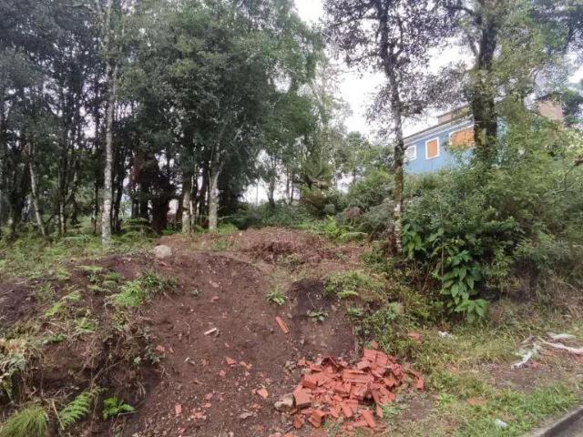 Terreno / Lote para Venda em Gramado/RS Carniel