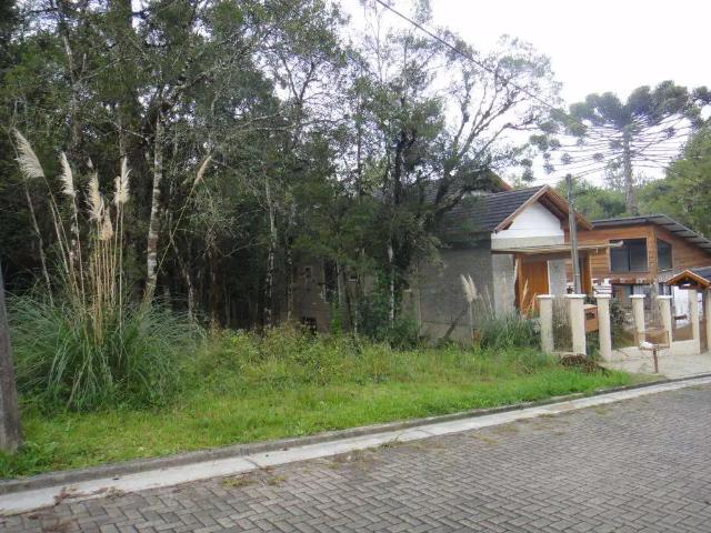 Terreno / Lote para Venda em Gramado/RS Carniel