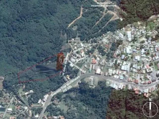 Terreno / Lote para Venda em Gramado/RS Carniel