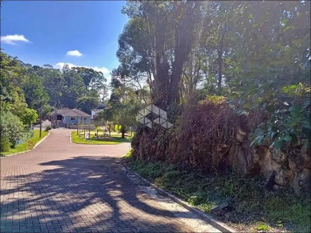 Terreno / Lote para Venda em Gramado/RS Carniel