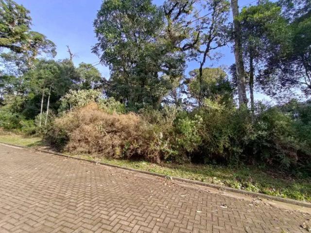 Terreno / Lote para Venda em Gramado/RS Carniel