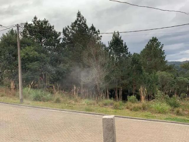 Terreno / Lote para Venda em Gramado/RS Carniel