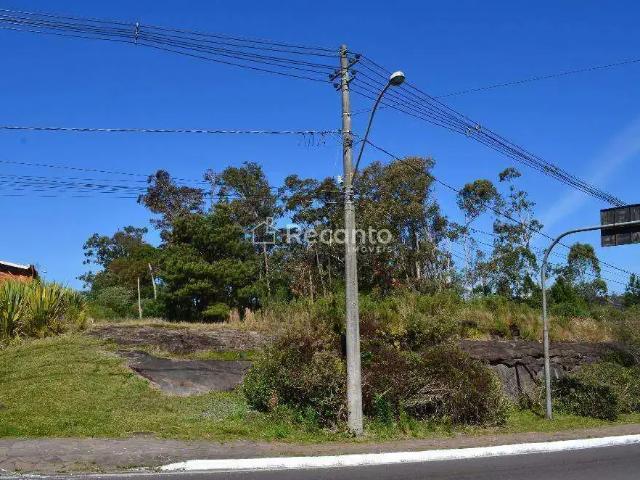 Terreno / Lote para Venda em Gramado/RS Centro