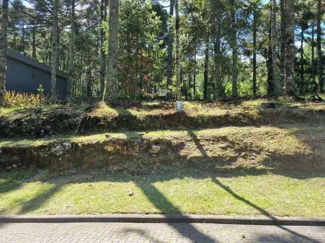 Terreno / Lote para Venda em Gramado/RS Aspen Mountain