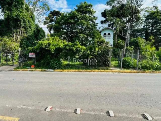 Terreno / Lote para Venda em Gramado/RS Avenida Central