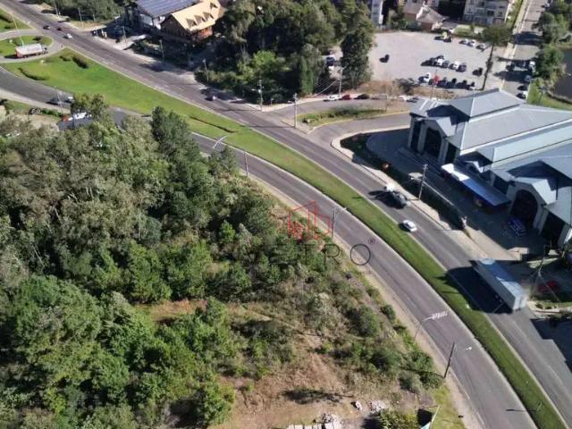 Terreno / Lote para Venda em Gramado/RS Avenida Central