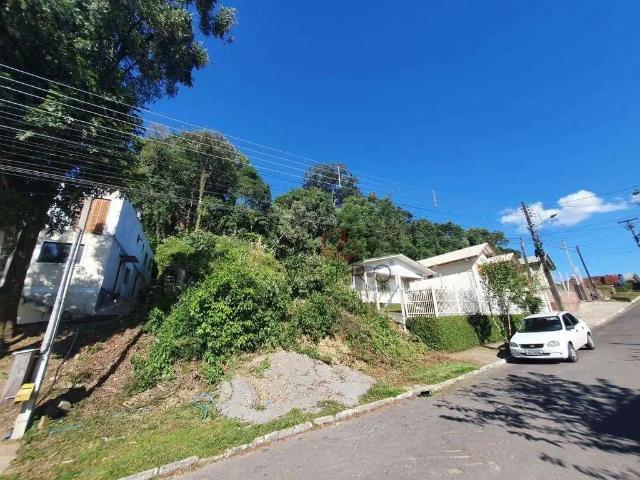 Terreno / Lote para Venda em Gramado/RS Floresta