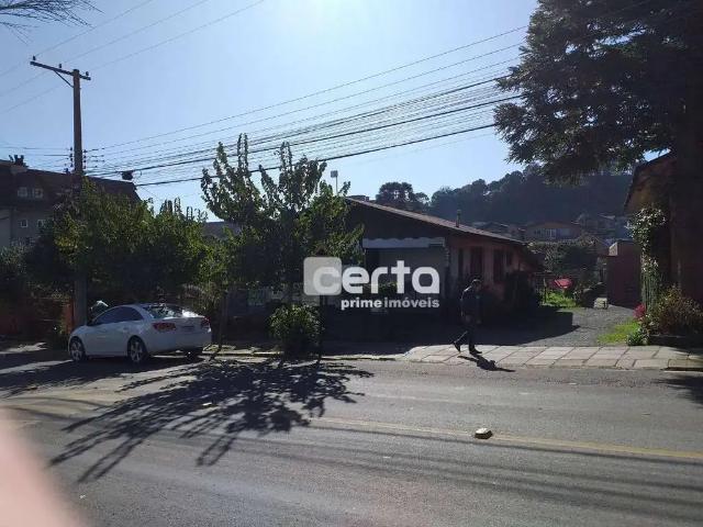 Terreno / Lote para Venda em Gramado/RS Floresta