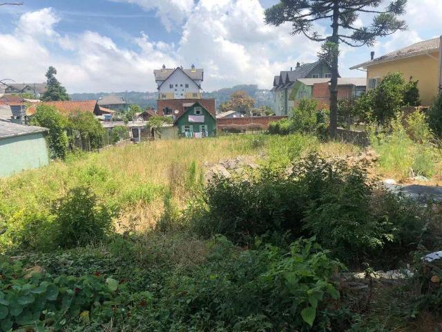 Terreno / Lote para Venda em Gramado/RS Floresta