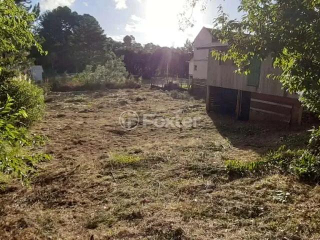 Terreno / Lote para Venda em Gramado/RS Ipê Amarelo
