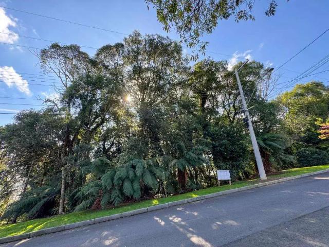 Terreno / Lote para Venda em Gramado/RS Lagos de Gramado