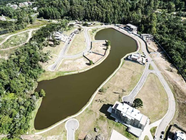 Terreno / Lote para Venda em Gramado/RS Linha Ávila