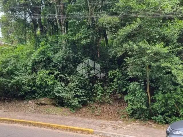 Terreno / Lote para Venda em Gramado/RS Moura