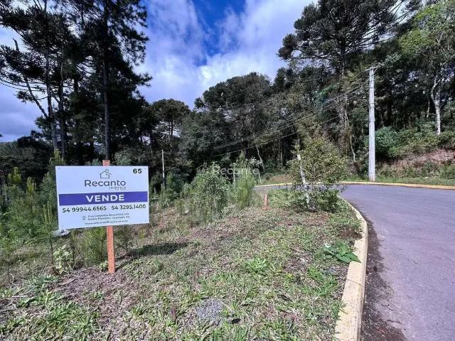 Terreno / Lote para Venda em Gramado/RS Moura