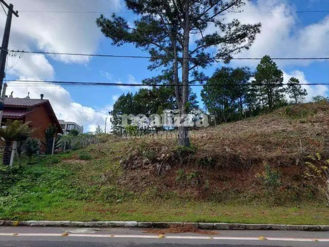 Terreno / Lote para Venda em Gramado/RS Morada da Serra
