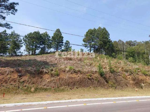 Terreno / Lote para Venda em Gramado/RS Morada da Serra