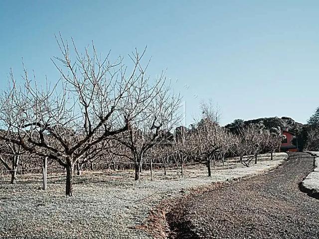 Terreno / Lote para Venda em Gramado/RS Mato Queimado