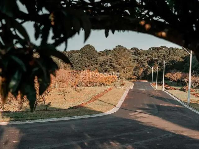 Terreno / Lote para Venda em Gramado/RS Mato Queimado